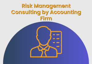 Strategic Risk Management Consulting Services for Business Excellence